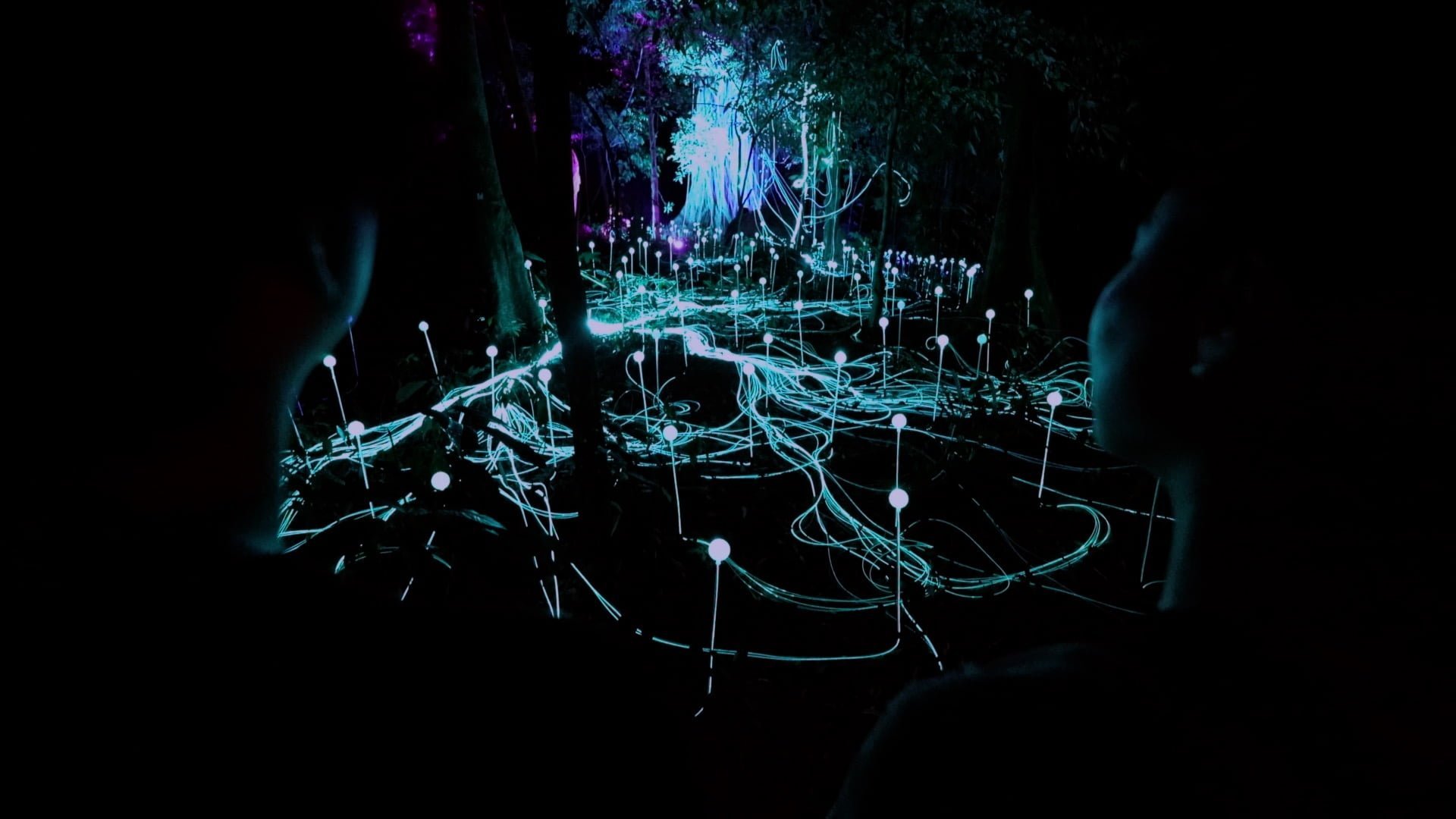 Dream Forest Langkawi