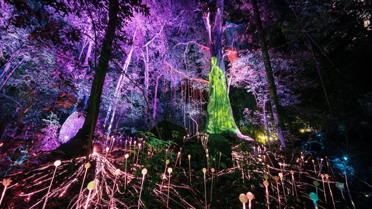 Plan a Visit - Dream Forest Langkawi